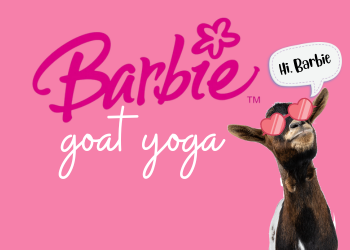 Aspen Grove ::: Littleton ::: CO